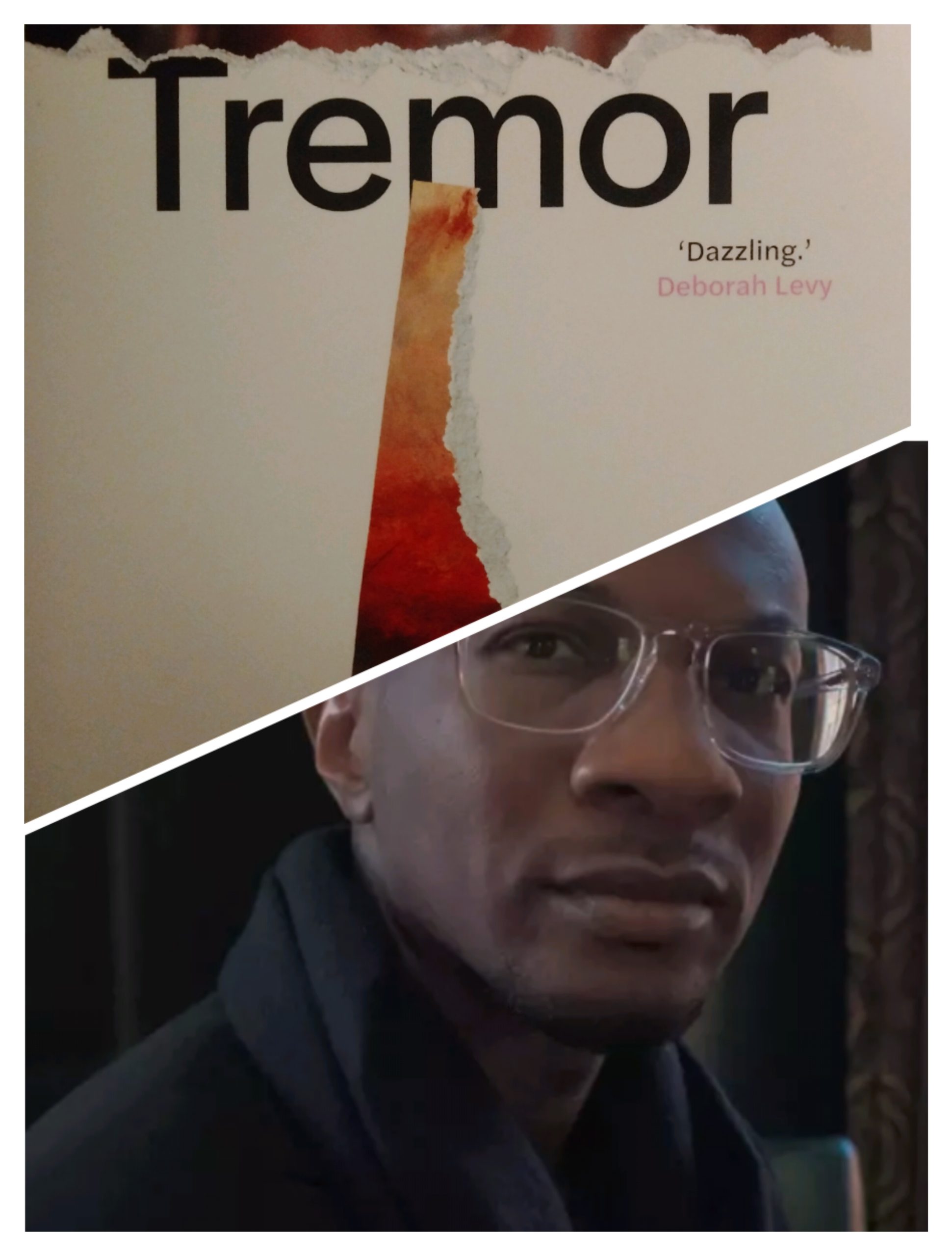 Teju Cole's "Tremor" at SouthBank Centre - Toni Kan - The Lagos Review