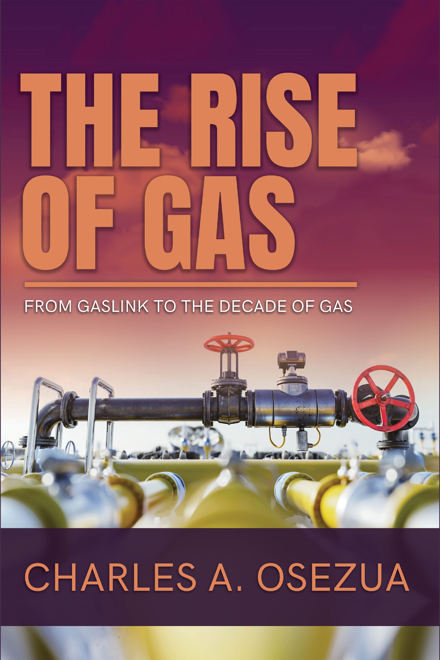 The Rise of Gas: From Gaslink to a Decade of Gas is a compelling ...