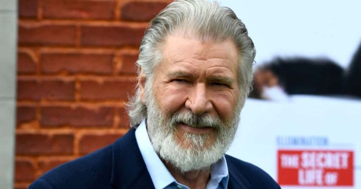 Harrison Ford connects nature to his idea of God - The Lagos Review